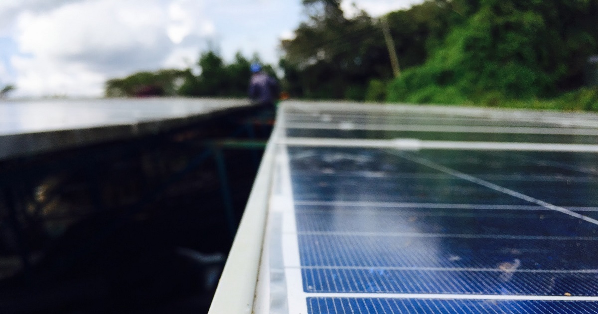 Phase two of our Solar Power project almost complete – Tambuzi Roses