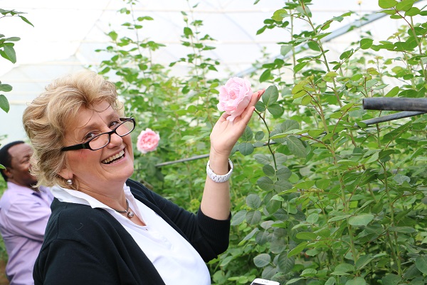 A busy week in the farm with customer visits – Tambuzi Roses