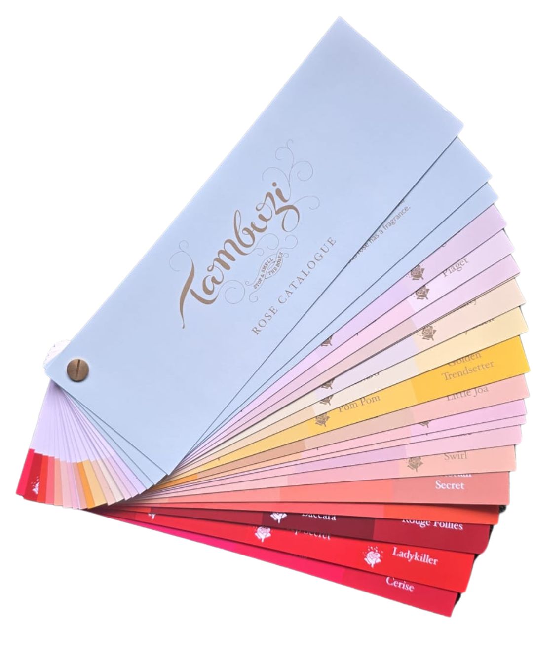 2025 Catalogue and Colour guide – Tambuzi Roses
